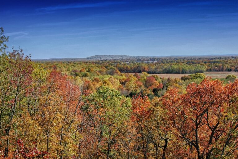 The 10 Best Places to Visit in Northwest Arkansas - Tourist Zaad